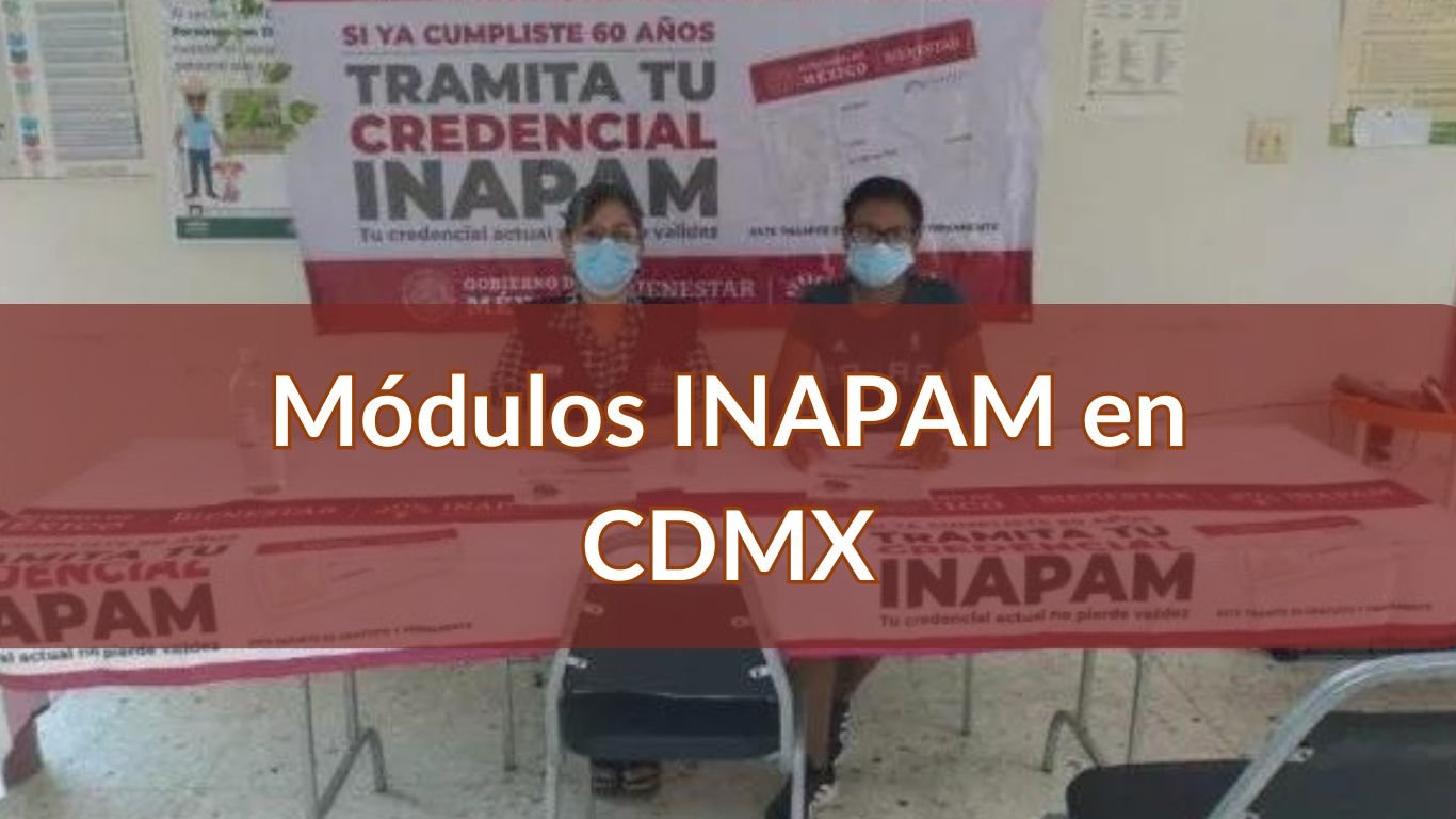 INAPAM CDMX: Módulos para sacar la credencial para adultos mayores ...