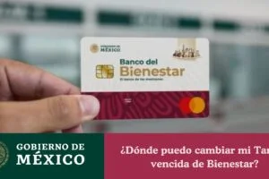 ¿Cómo Consultar el Estatus de tu Beca Benito Juárez? Guía Completa 2025